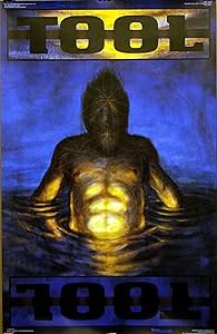 Amazon.com: Tool 23x35 Aenima Poster 1996 Maynard James Keenan: Prints ...