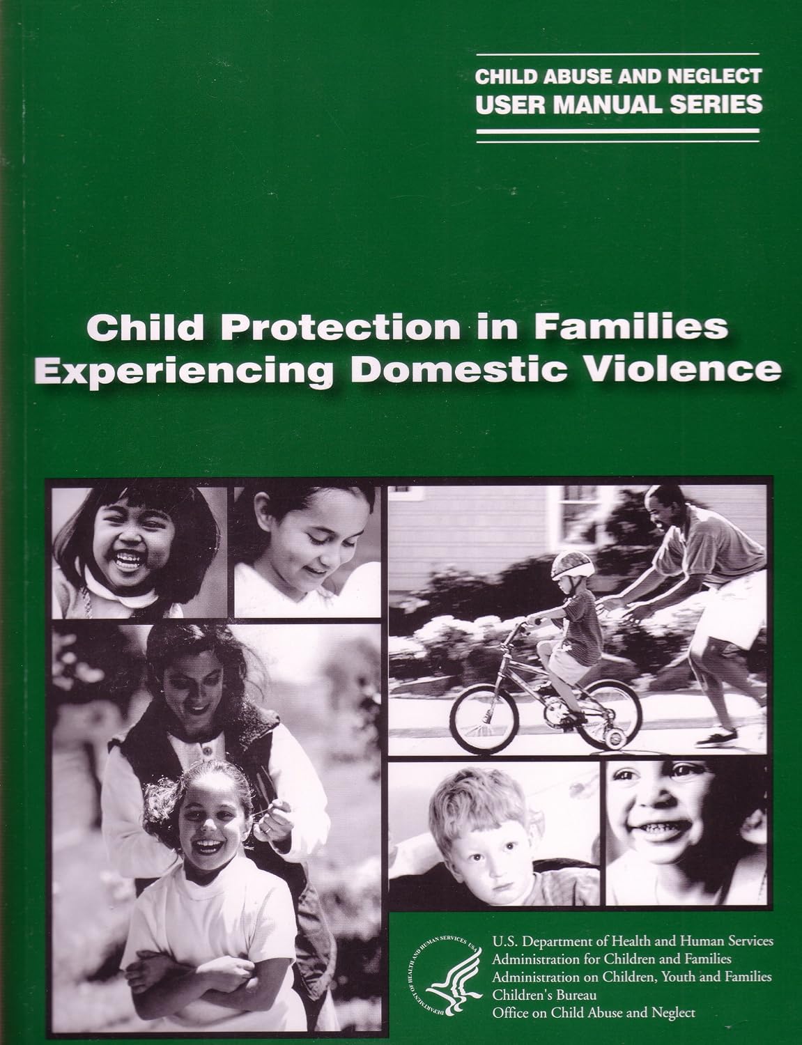 Child Protection in Families Experiencing Domestic Violence (Child ...