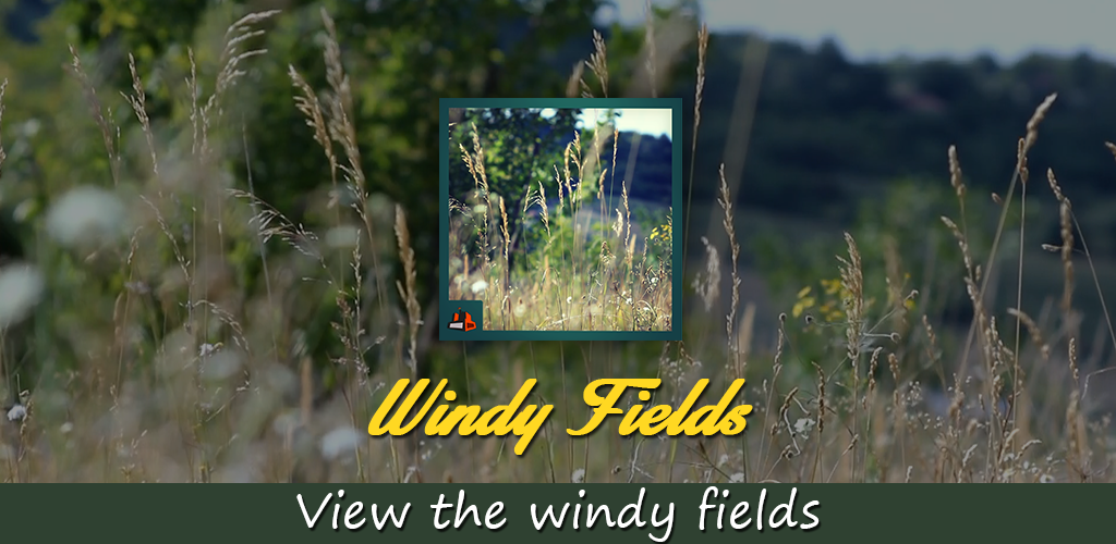 Windy Fields - View the Windy Fields:Amazon.co.uk:Appstore for Android