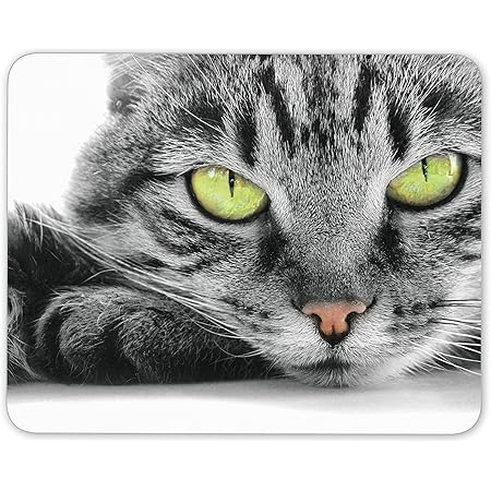 Adorable Kitten Mouse Mat Pad - Cat Cats Cute Mum Sister PC Computer ...
