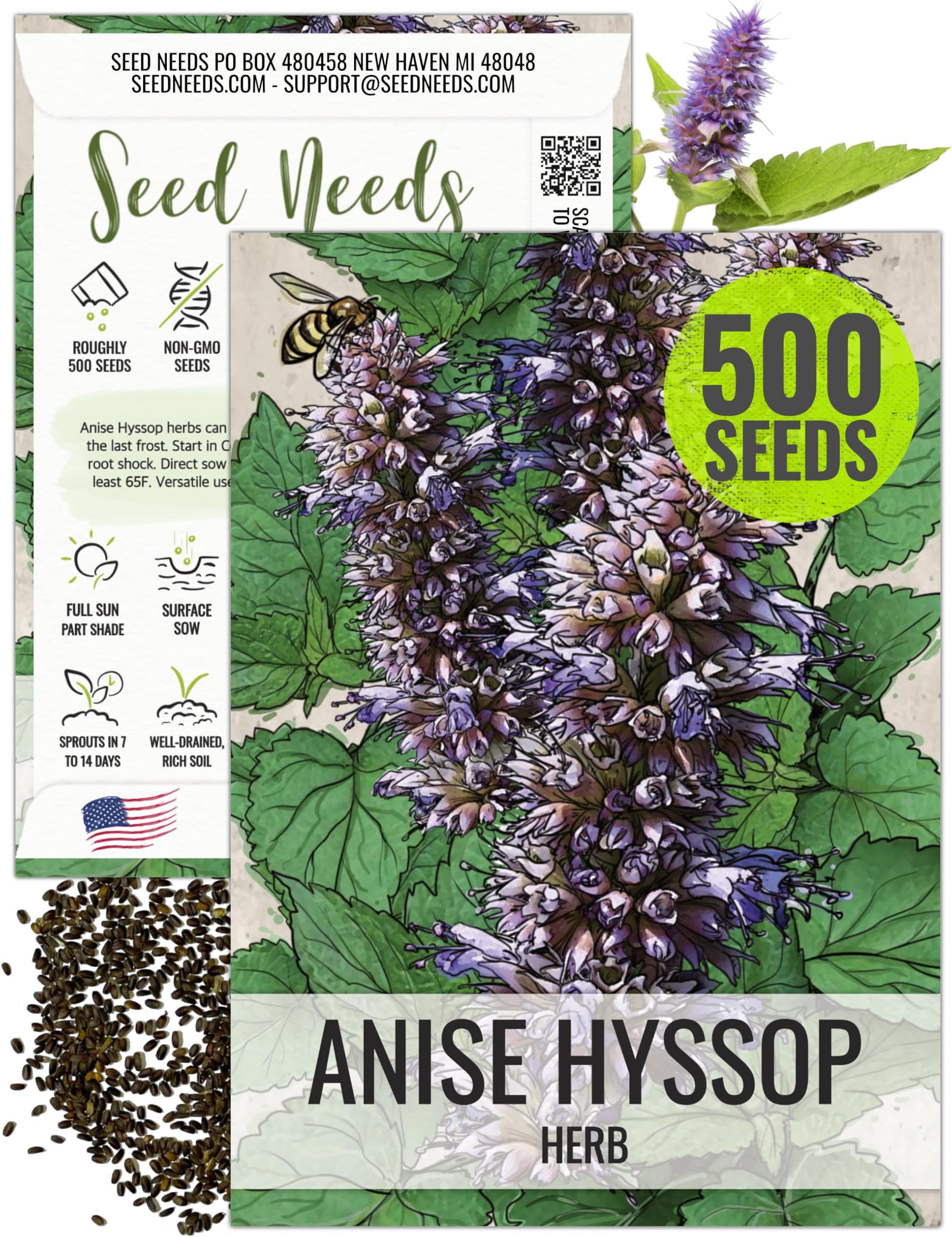 Amazon.com : Anise Seed Pack, herb Seeds, Garden Planting, Anise Hyssop ...