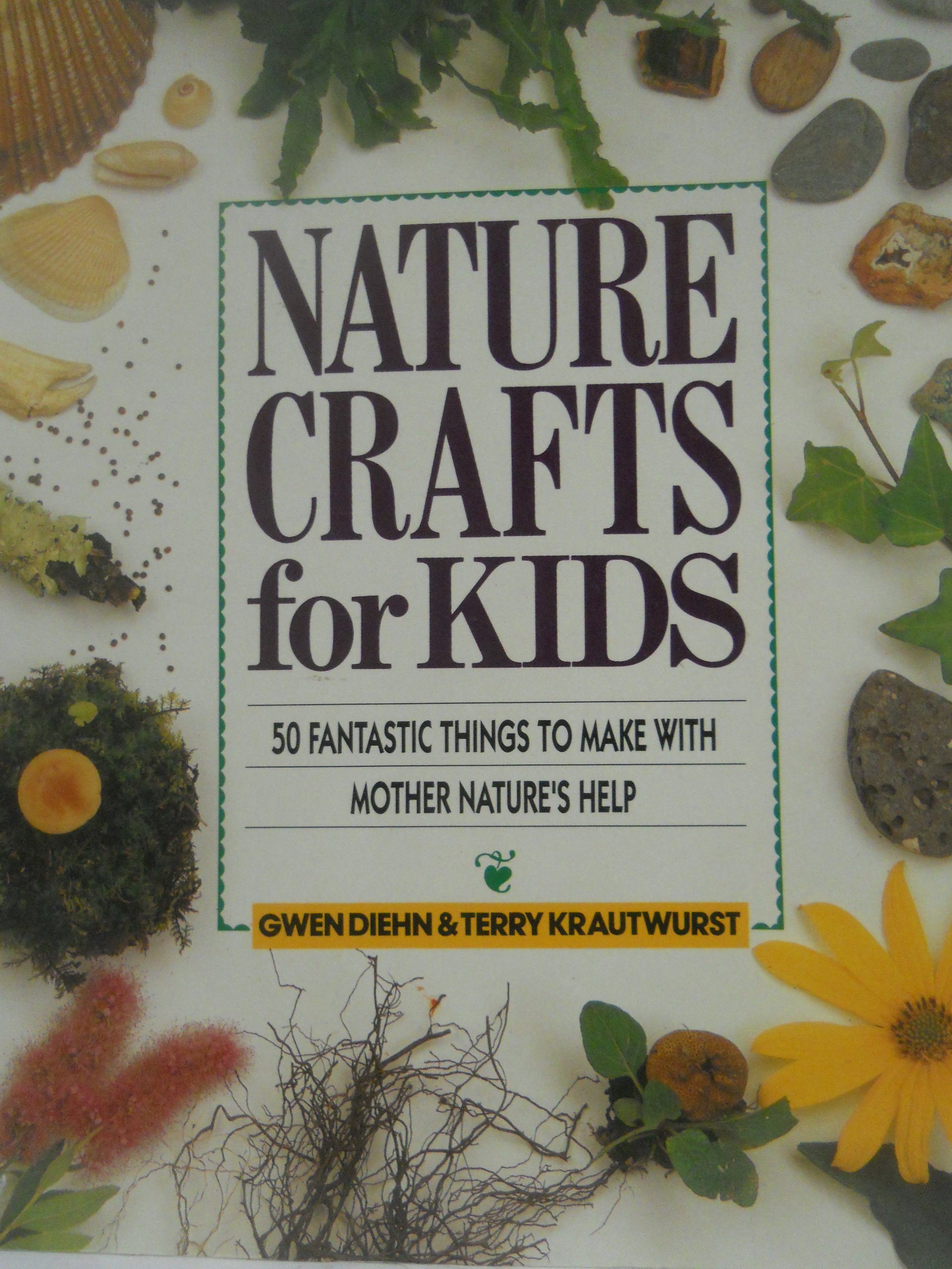 Nature Crafts for Kids: Diehn, Gwen, Krautwurst, Terry: 9780806983738 ...