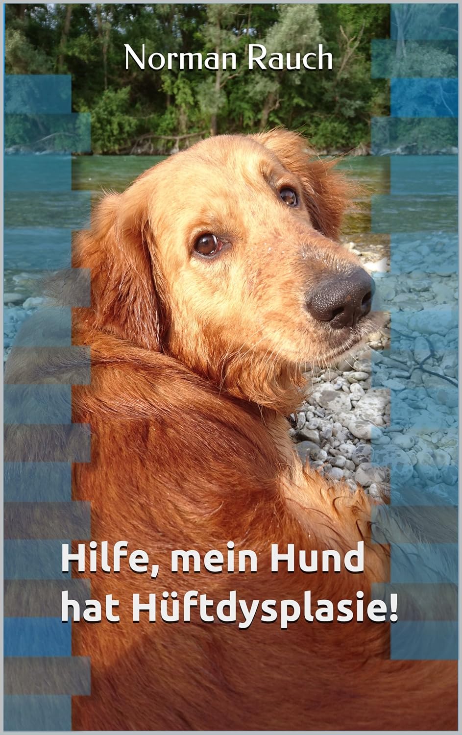 Hilfe, mein Hund hat Hüftdysplasie! eBook : Rauch, Norman: Amazon.de ...