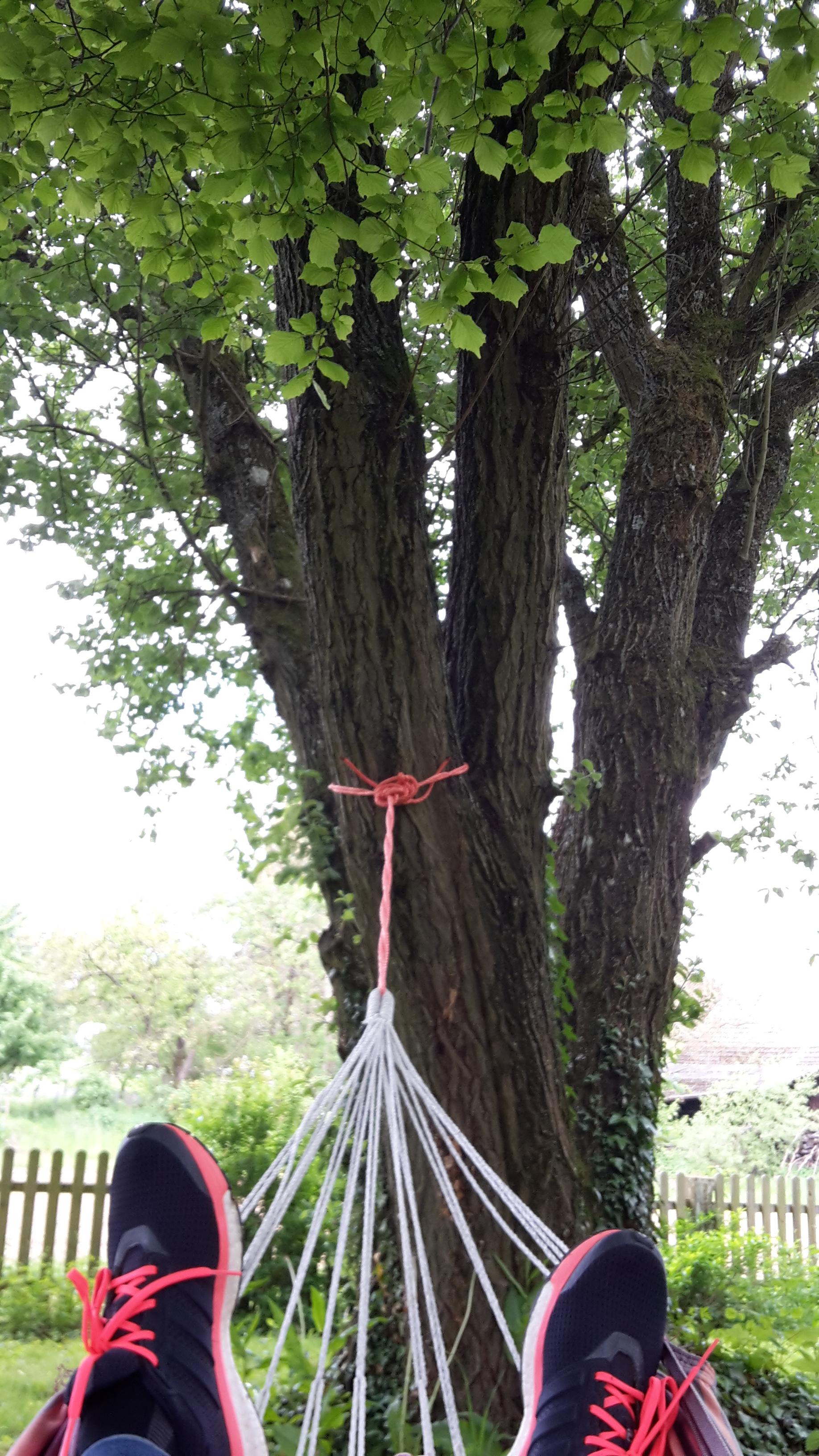 Amazon.de: Paris Sanders: Bücher, Biographie, neuestes Aktualisierung