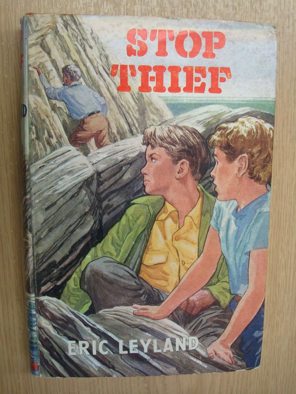 Stop Thief: Eric Leyland: Amazon.com: Books