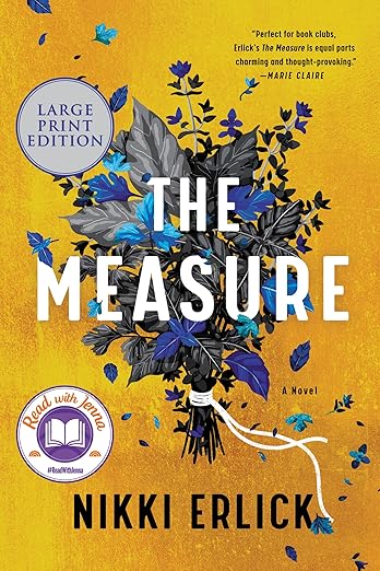 Amazon.com: The Measure: A Novel: 9780063241862: Erlick, Nikki: Books