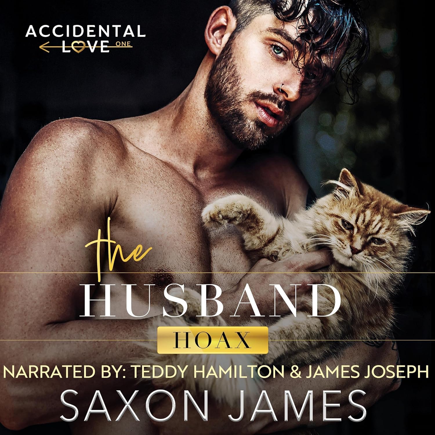 The Husband Hoax: Accidental Love, Book 1 (Audio Download): Saxon James ...