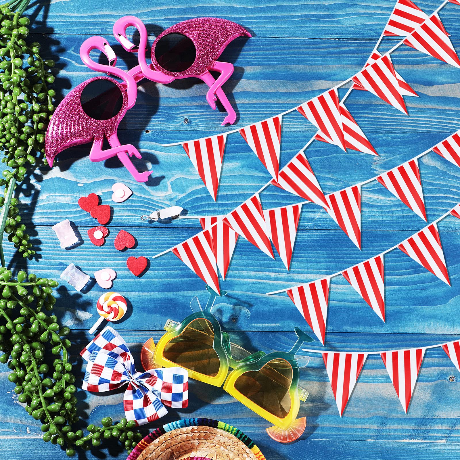 Circus Pennant Banner Printable Circus Banner Digital Circus Bunting