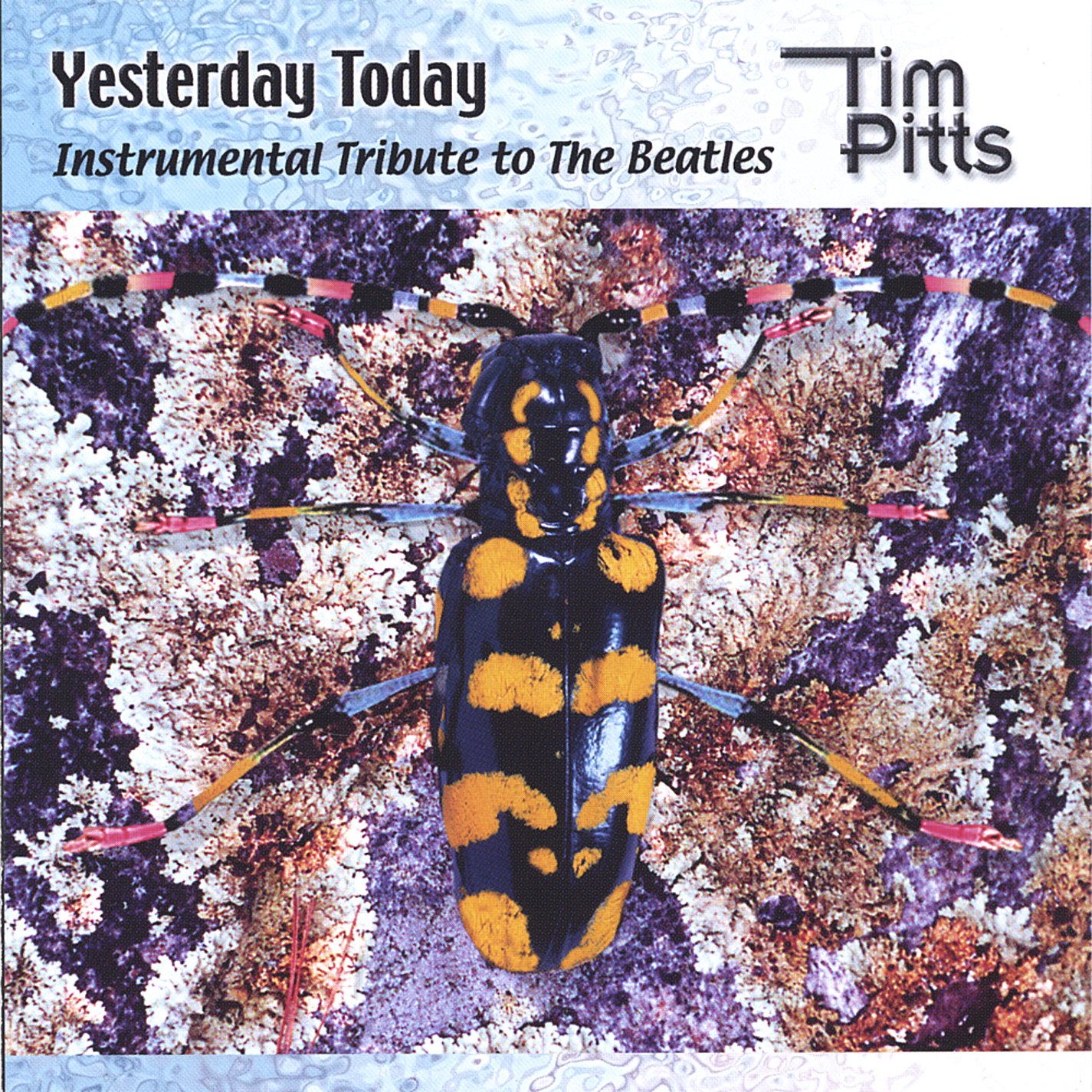 Amazon.com: Yesterday Today: 0735885232627: Tim Pitts: Books