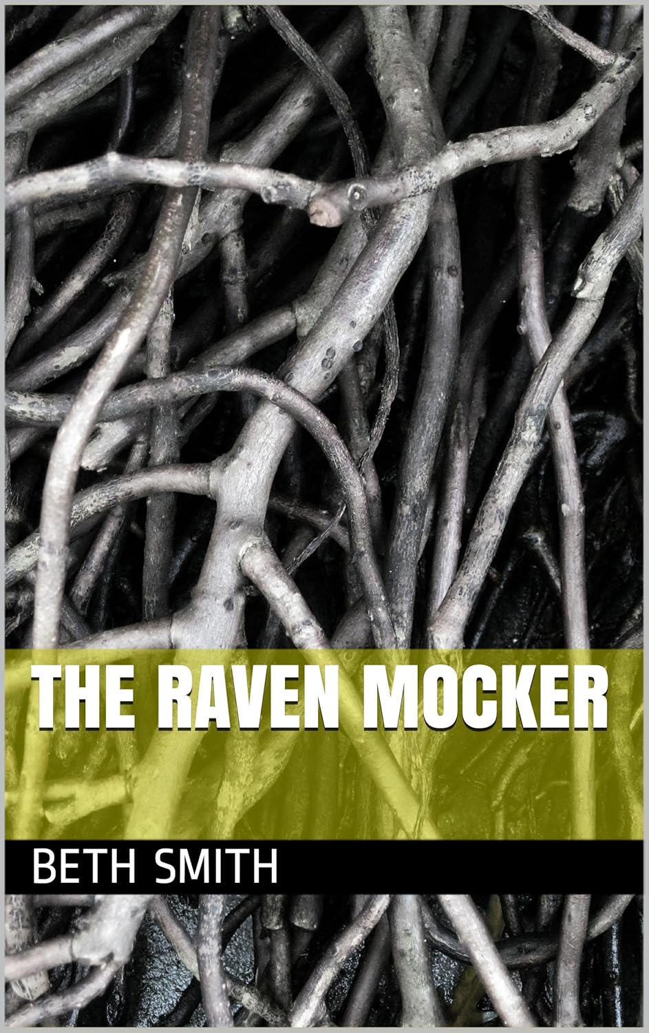 Amazon.com: The Raven Mocker eBook : Smith, Beth: Books