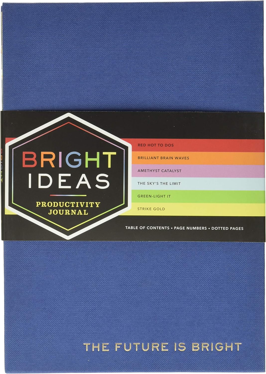 Bright Ideas Productivity Journal : Chronicle Books: Amazon.ca: Office ...