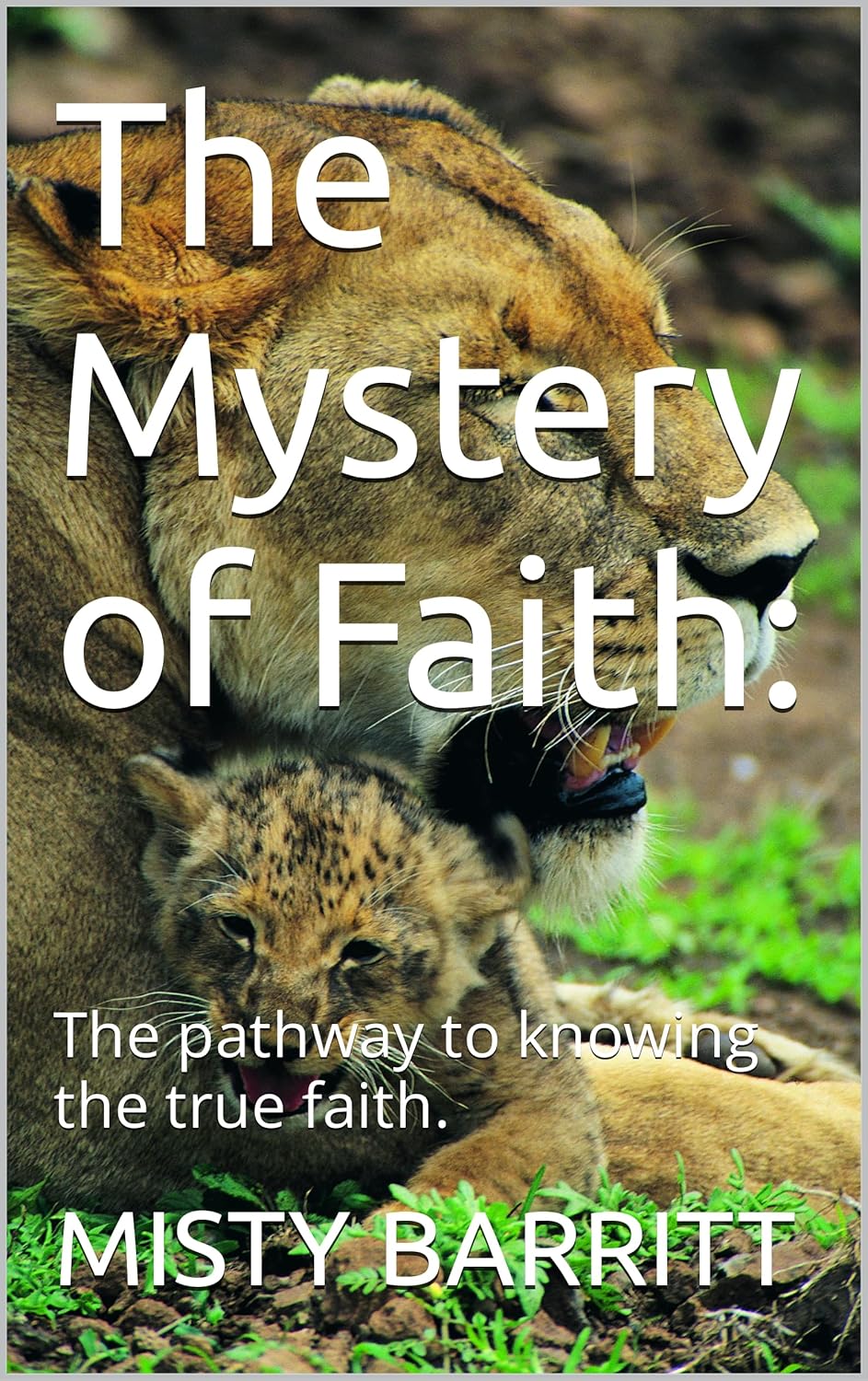 Amazon.com: The Mystery of Faith: The pathway to knowing the true faith ...