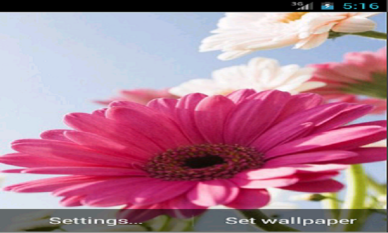 live wallpaper-sliding flowers:Amazon.com:Appstore for Android