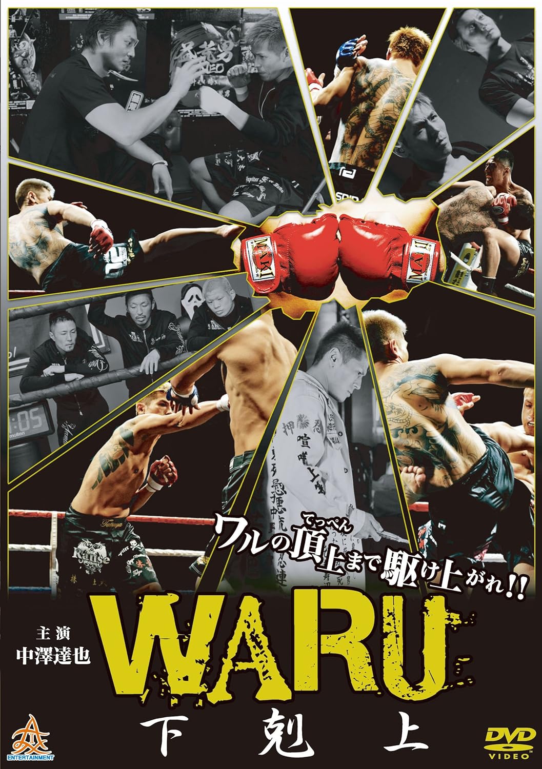 Amazon | WARU 下剋上 [DVD] | 映画