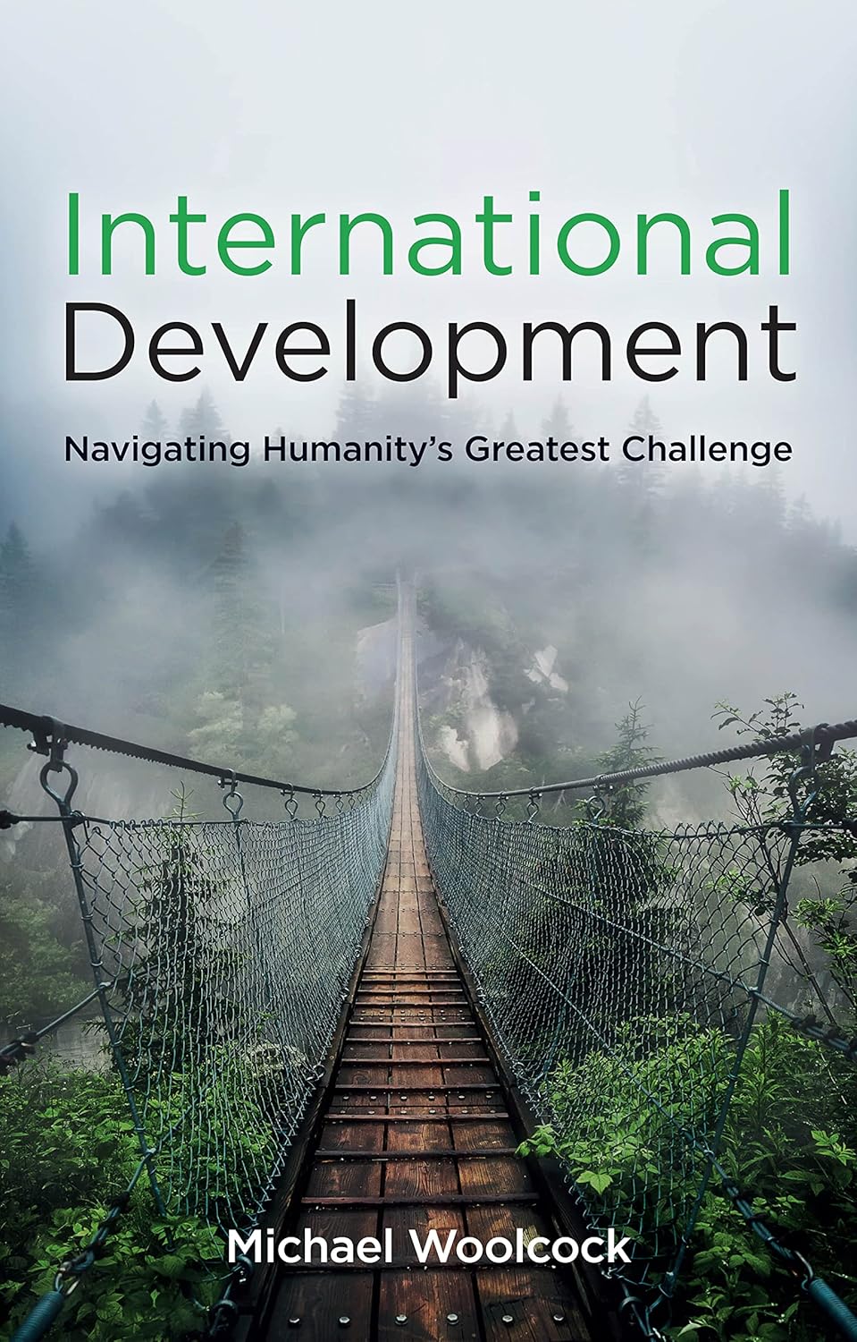 International Development: Navigating Humanity's Greatest Challenge ...