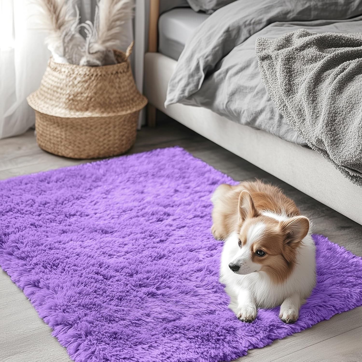 Amazon.com: OLANLY 2x3 Machine Washable Small Bedside Rug, Soft Fluffy ...