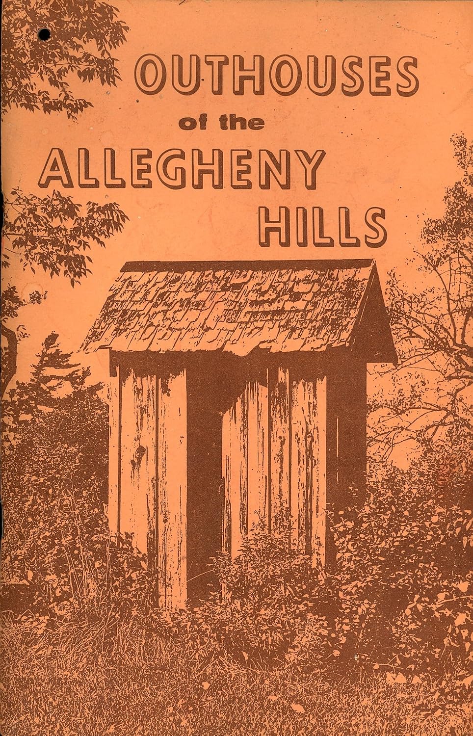 Outhouses of the Allegheny hills: Hayes, Dwight: Amazon.com: Books
