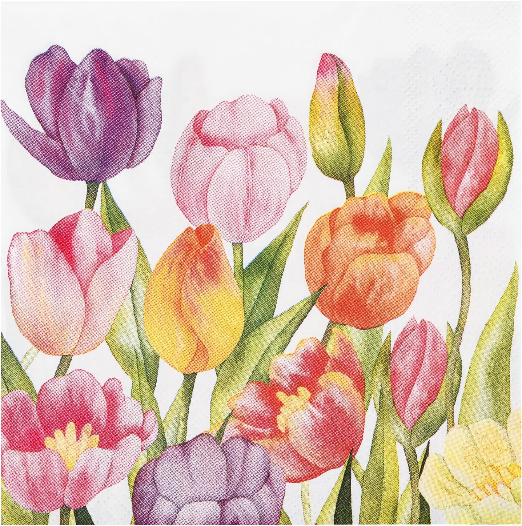 Amazon.com: 100 Spring Flowers Luncheon Napkins Watercolor Tulip Paper ...