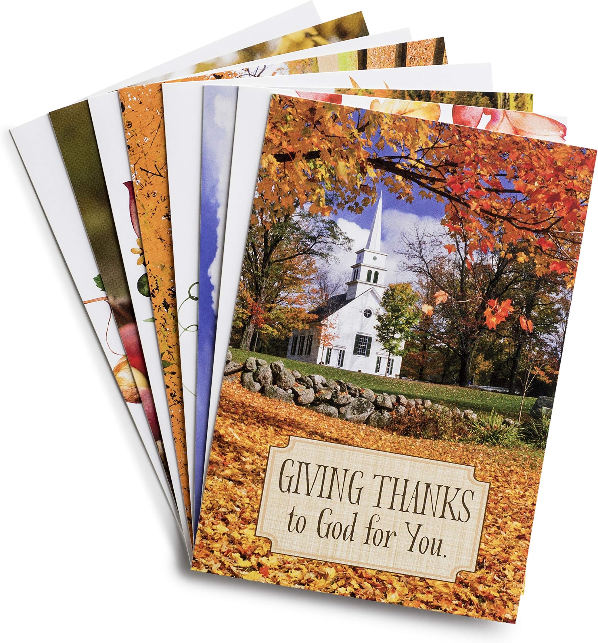 Amazon.com : DaySpring - Thanksgiving Blessings – 8 Fall Design ...