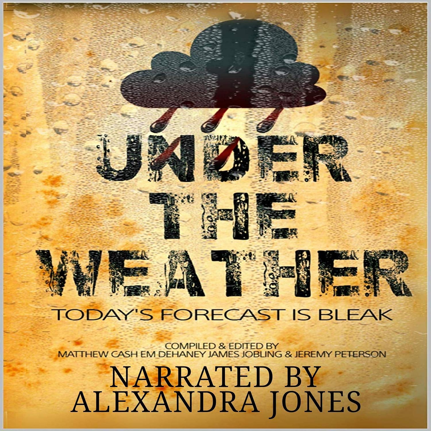Amazon.com: Under the Weather (Audible Audio Edition): Adam Millard ...