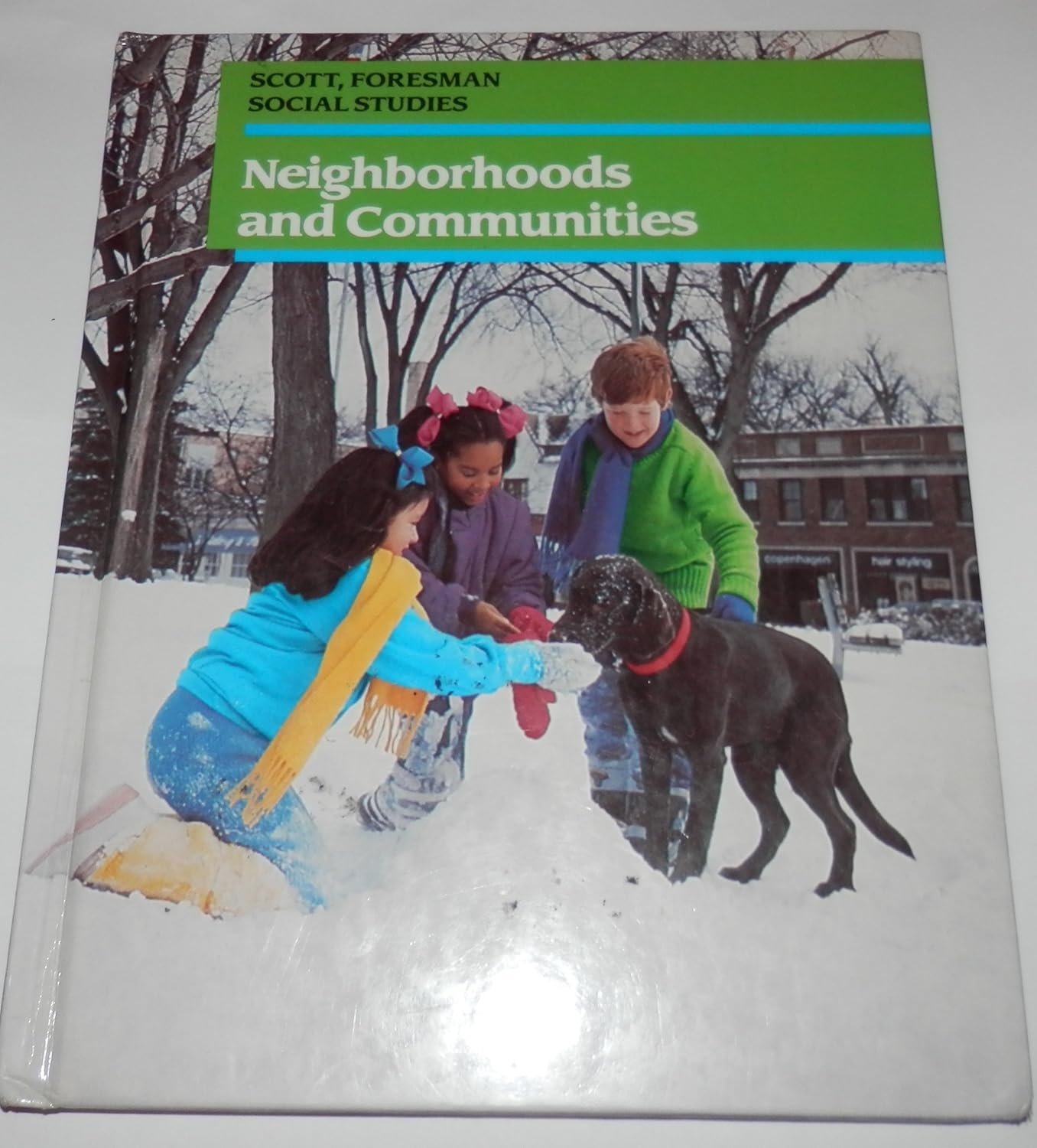 Amazon.com: Neighborhoods and Communities (Scott Foresman Social ...