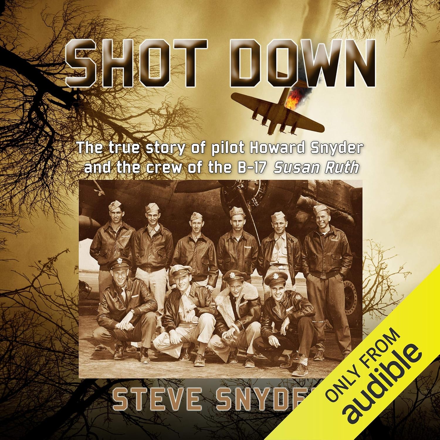 Amazon.com: Shot Down: The True Story of Pilot Howard Snyder and the ...