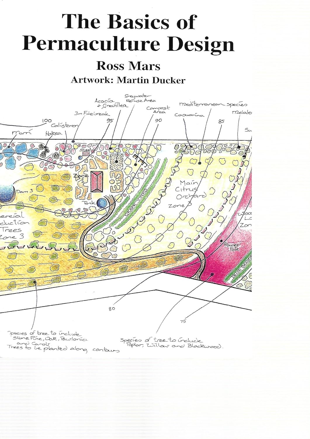 Amazon.com: The Basics of Permaculture Design: 9781856230230: Mars ...