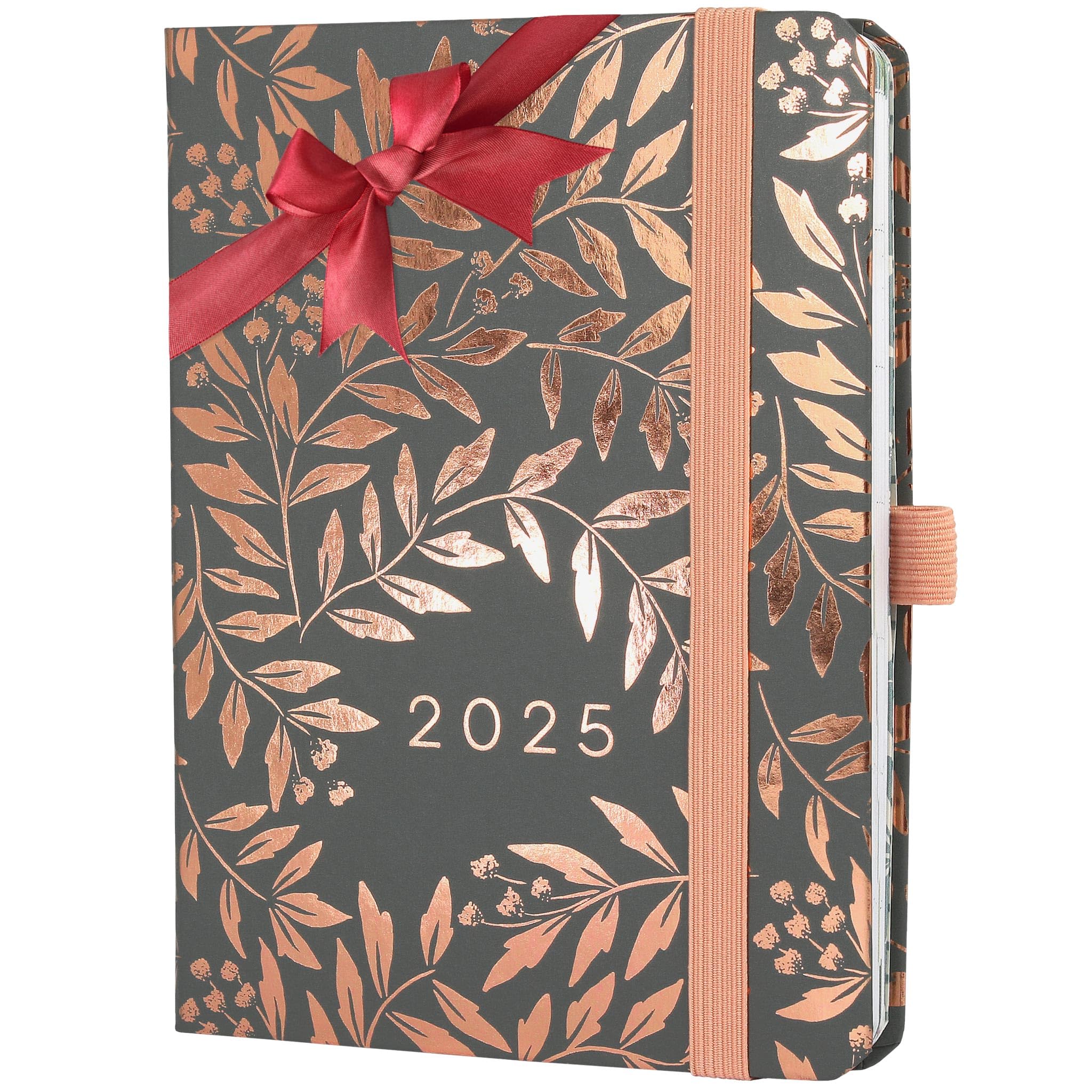 Buy Boxclever Press Everyday 2025 Diary with Dotted Note Pages ...