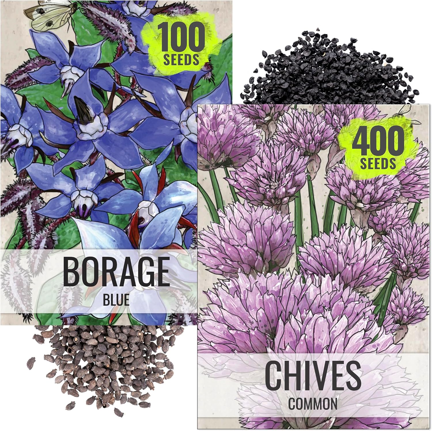 Amazon.com : Seed Needs Borage & Chives Seeds for Planting Fresh ...