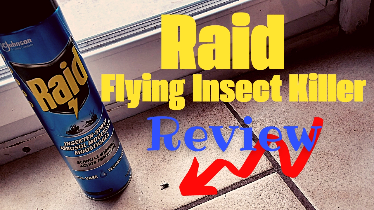 Watch Raid Flying Insect Killer Review on Amazon Live