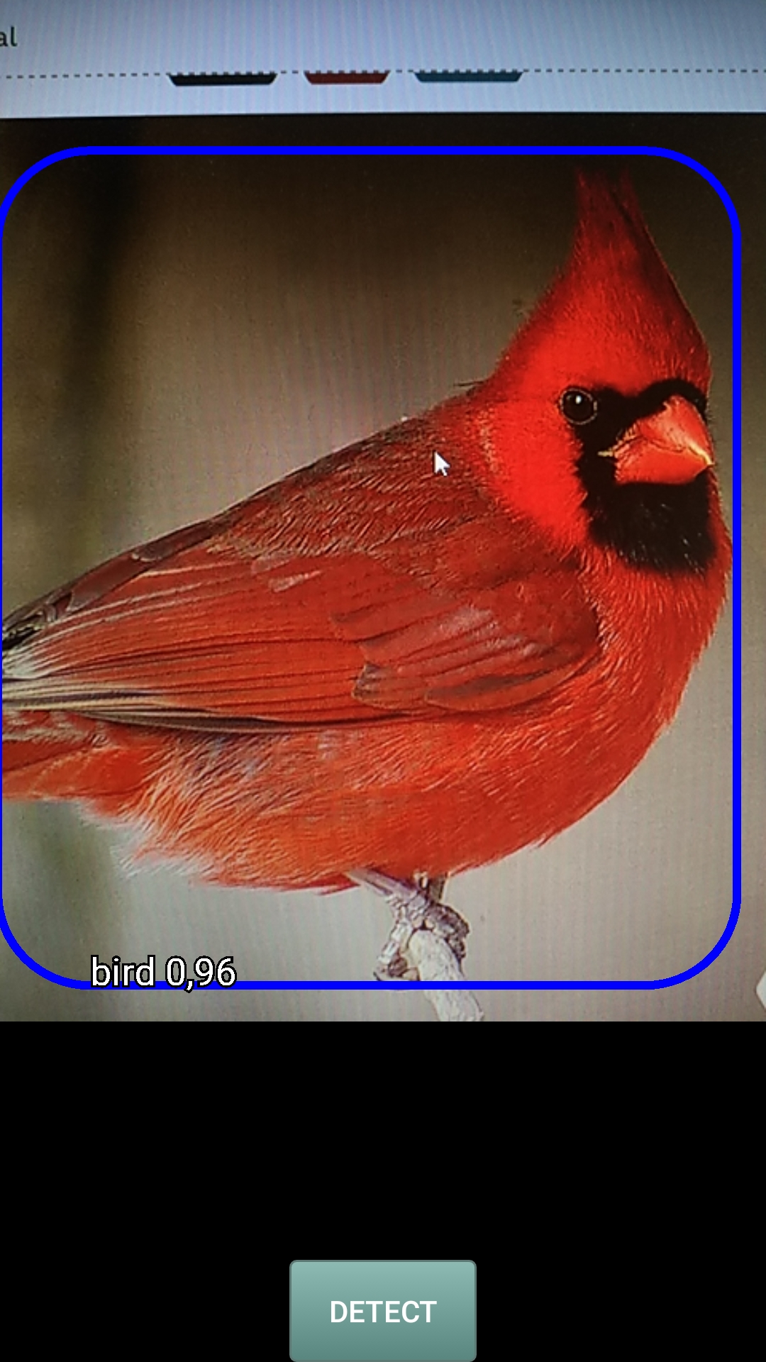 Bird Recognition Demo - App on Amazon Appstore