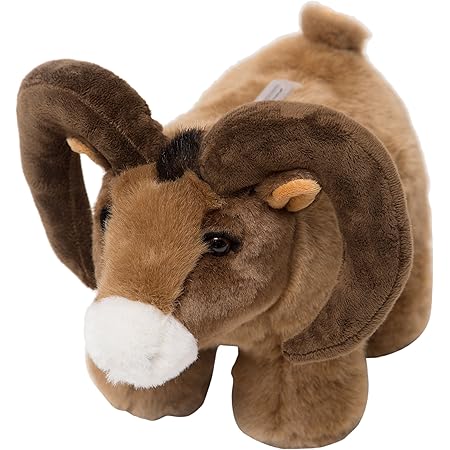 Amazon.com: Carstens White Plush Tail Deer Kids Coin Bank : Toys & Games