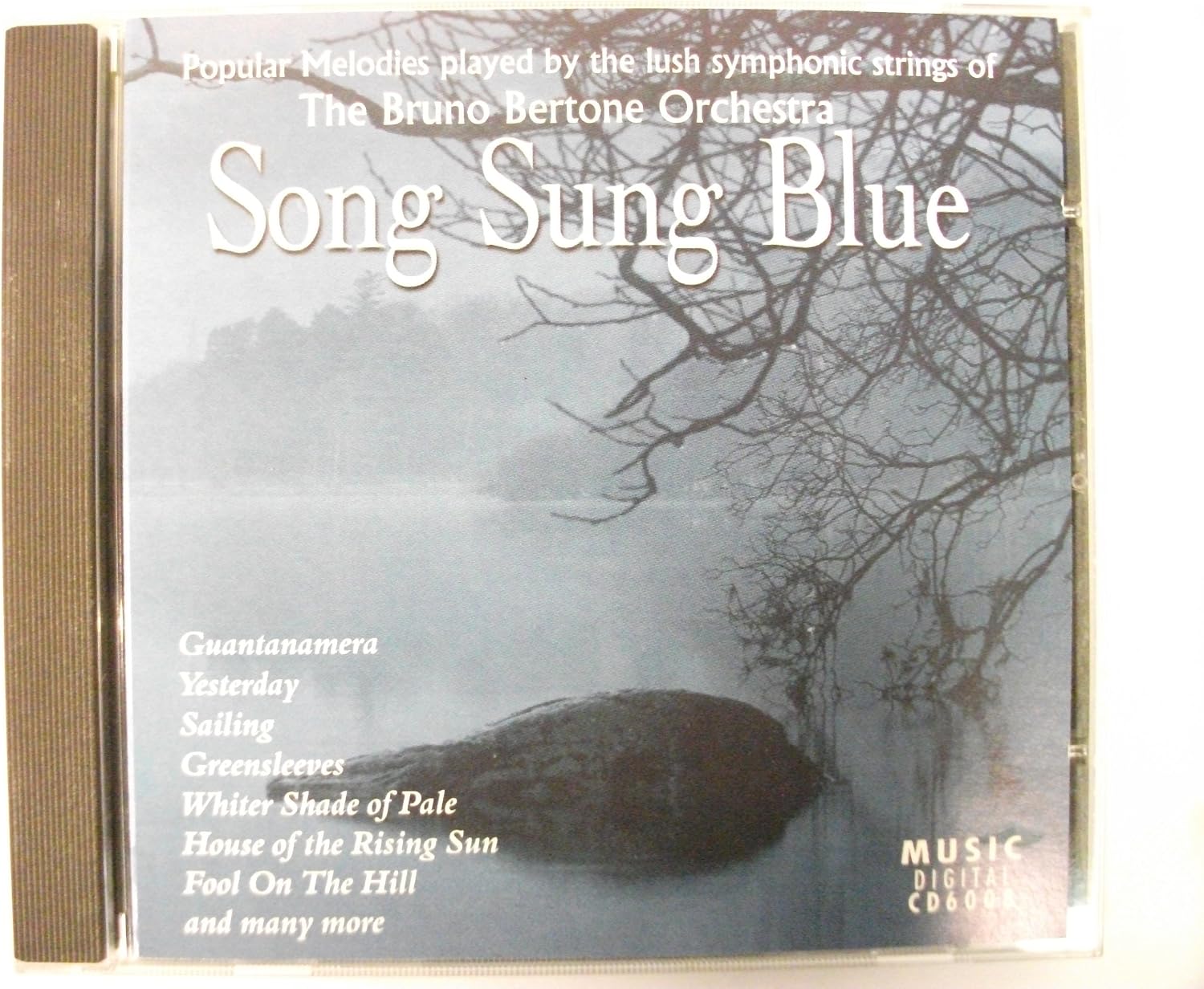 Song Sung Blue: Bruno Bertone Orchestra: Amazon.it: CD e Vinili}