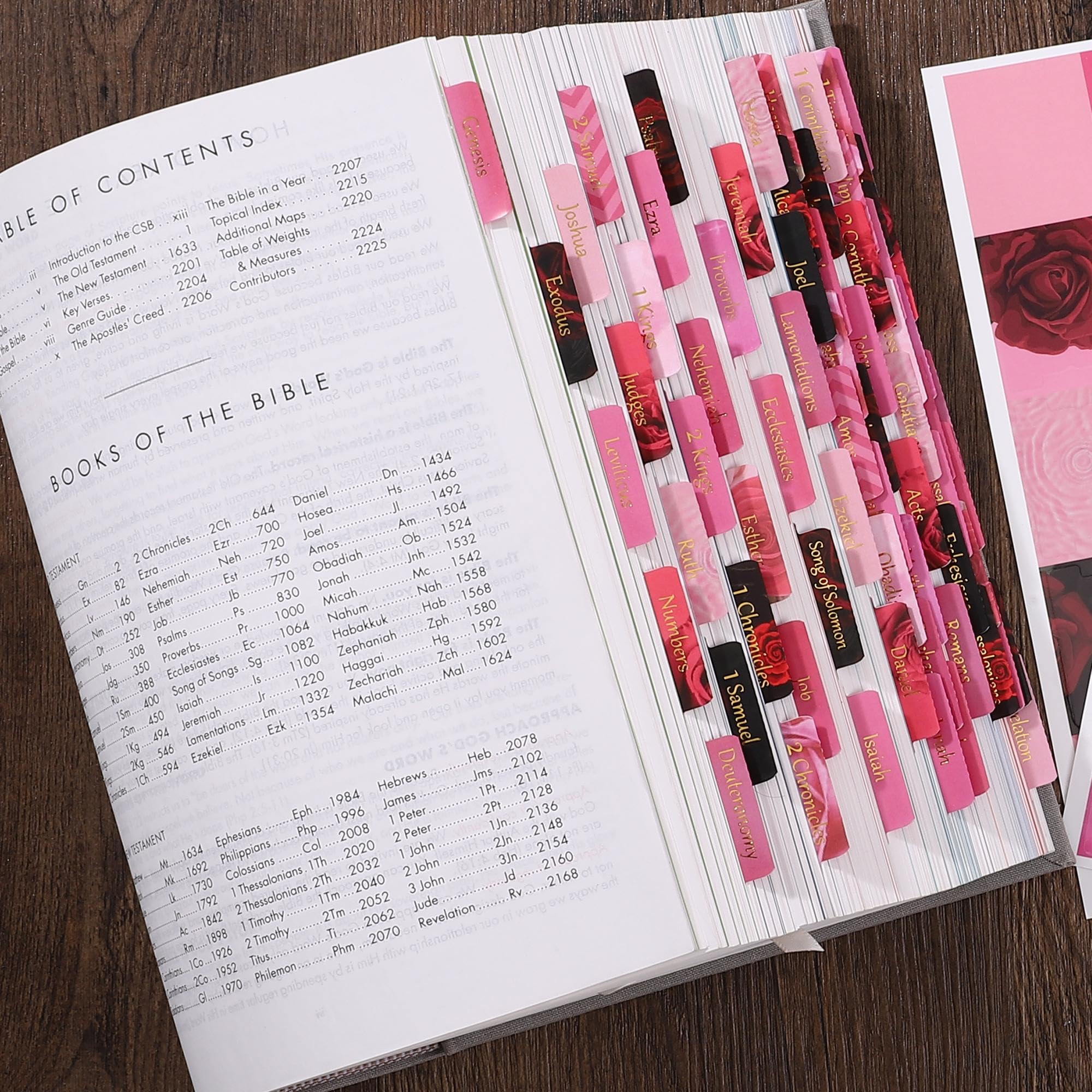 Snapklik.com : Thinkor Laminated & Reposition Bible Tabs, Gold Foil ...