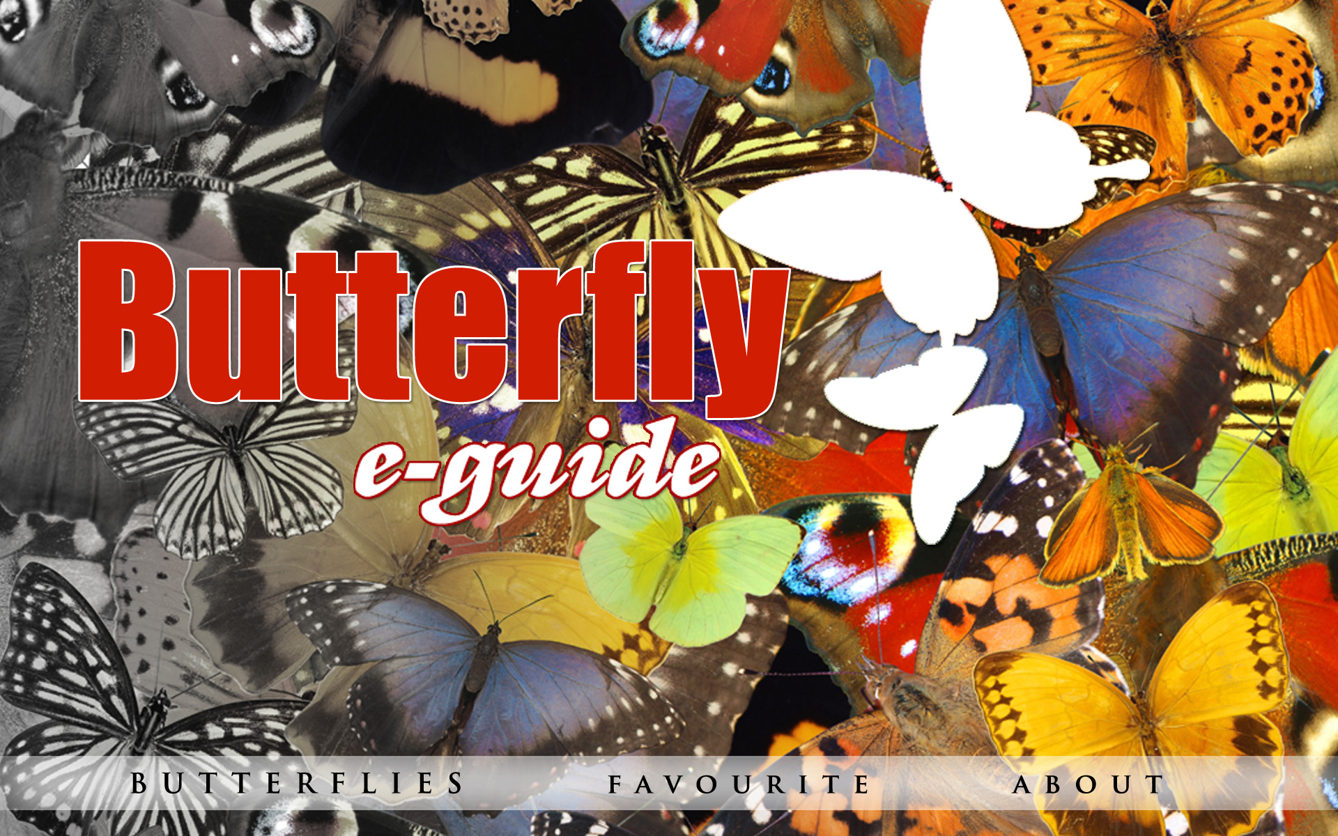 Butterfly eGuide - App on Amazon Appstore