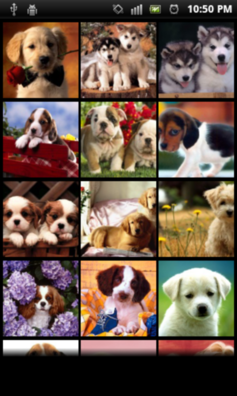 Dog Memory Game and Wallpaper:Amazon.com:Appstore for Android
