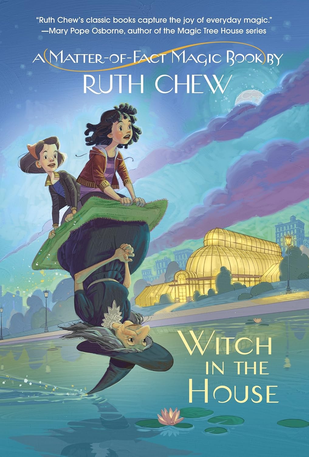 A Matter-of-Fact Magic Book: Witch in the House: Chew, Ruth ...