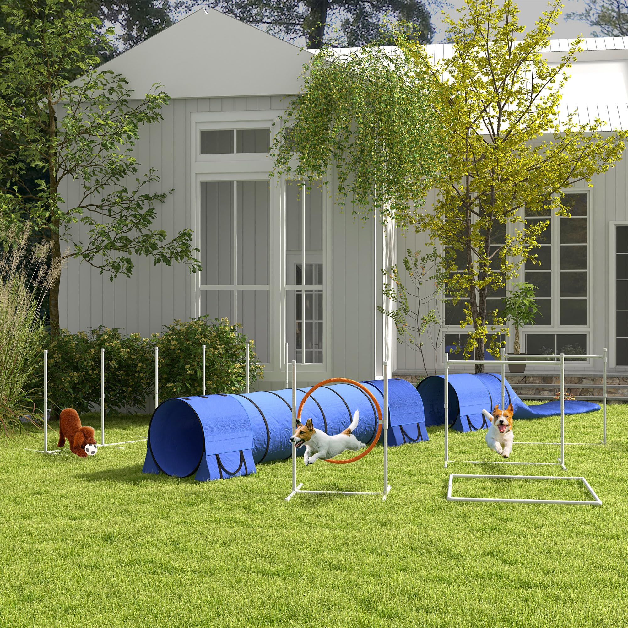 PawHut 7 Piece Dog Agility Training Equipment, Dog Obstacle Course ...