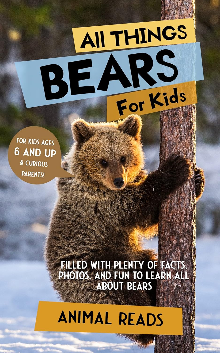 All Things Bears For Kids: Filled With Plenty of Facts, Photos, and Fun ...