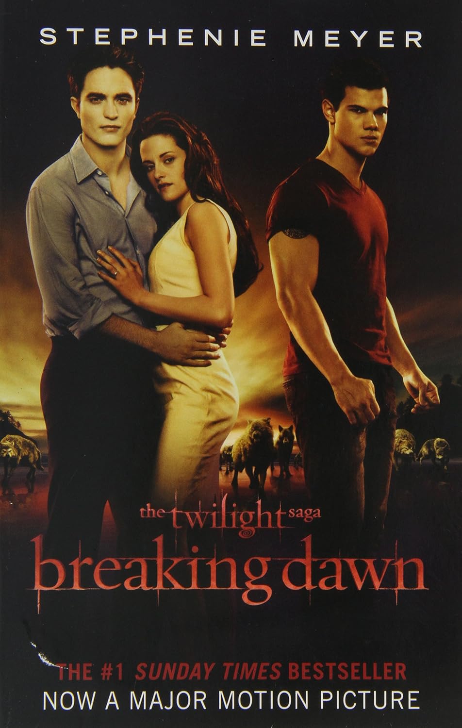 Breaking Dawn: Meyer, Stephenie: 9781907411144: Amazon.com: Books