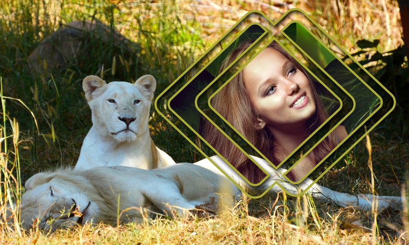 Lion Photo Frames - App on Amazon Appstore