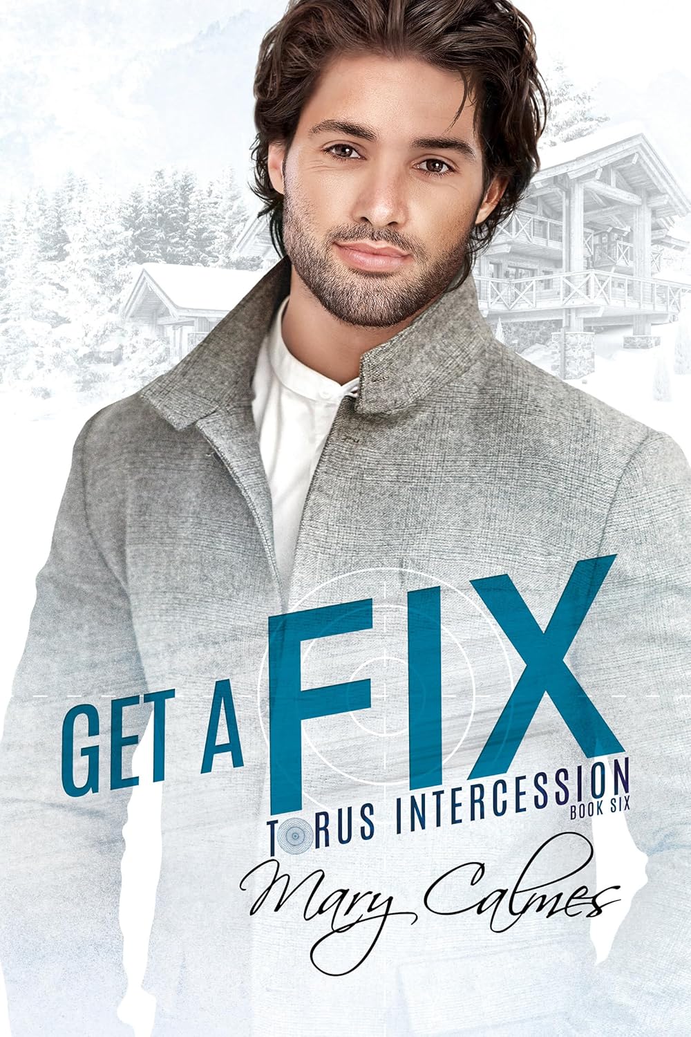 Get A Fix: Torus Intercession Book Six - Kindle edition by Calmes, Mary ...