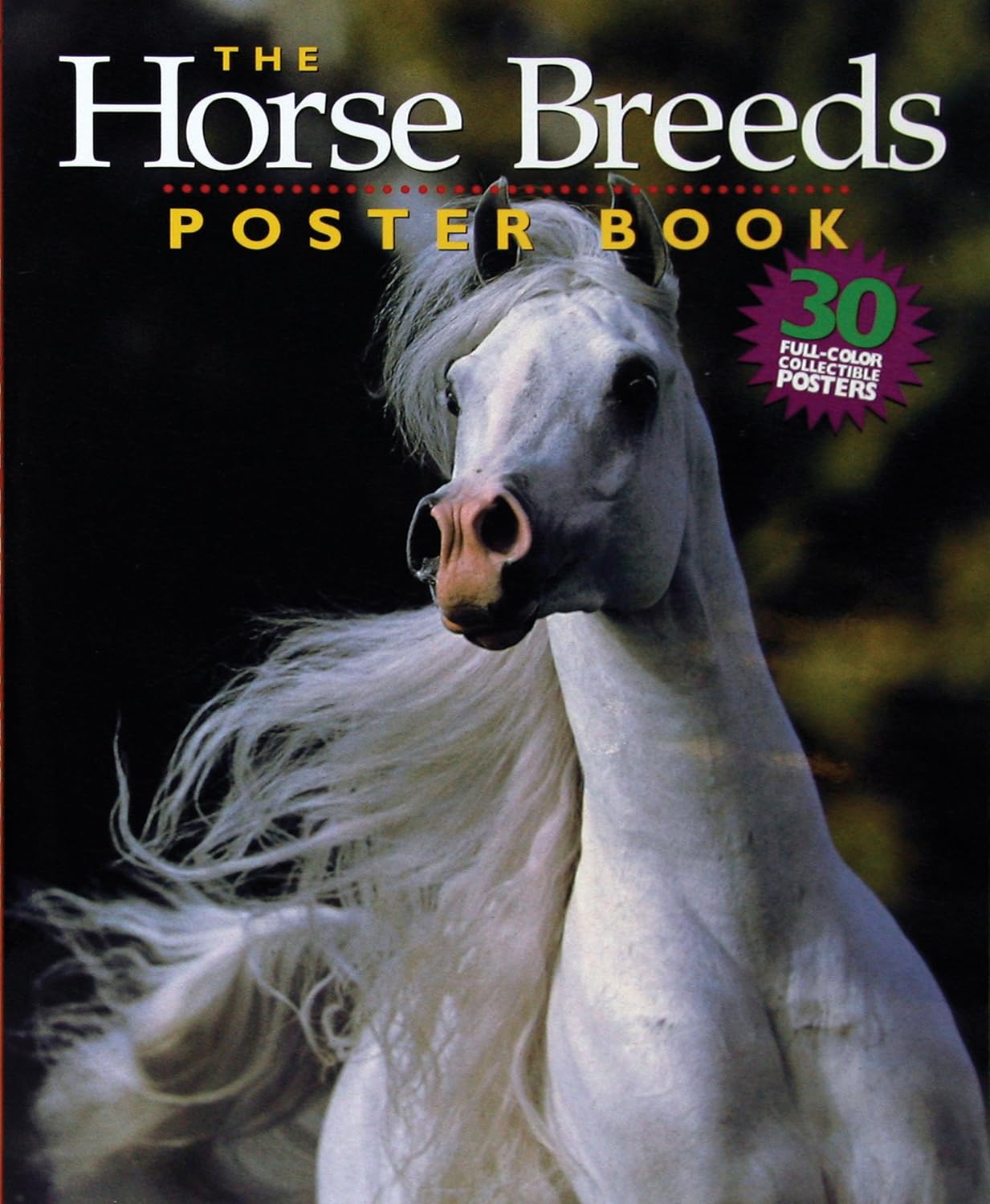 The Horse Breeds Poster Book: Langrish, Bob: 9781580175074: Amazon.com ...
