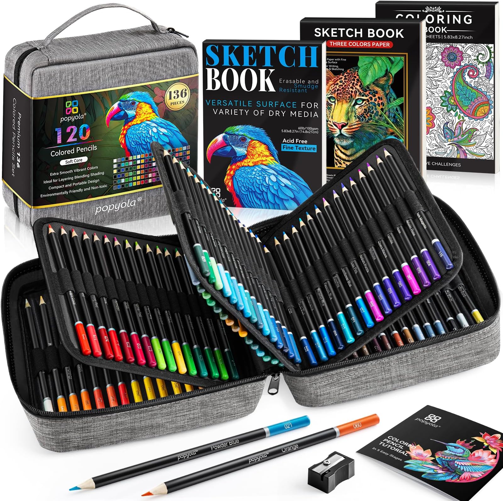Amazon.com : 136 PCS Colored Pencils Set for Adult Coloring Books, 120 ...