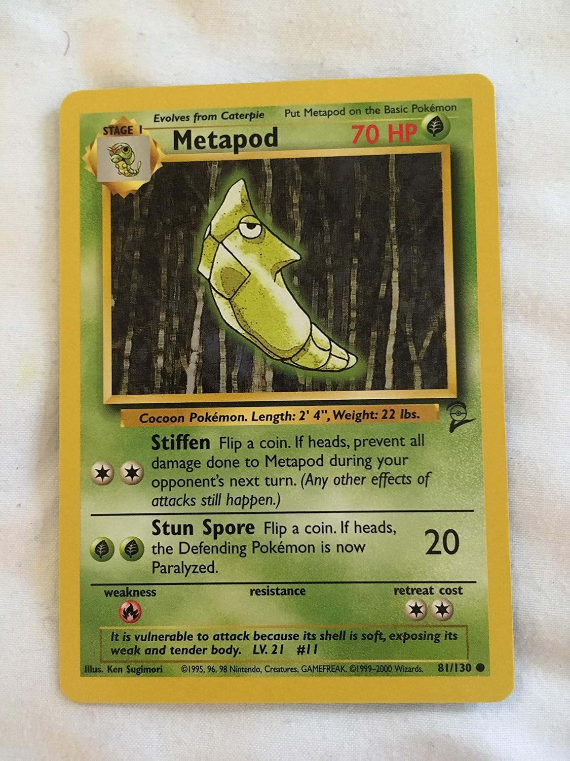 Amazon.com: Metapod - Basic - 54 [Toy] : Toys & Games