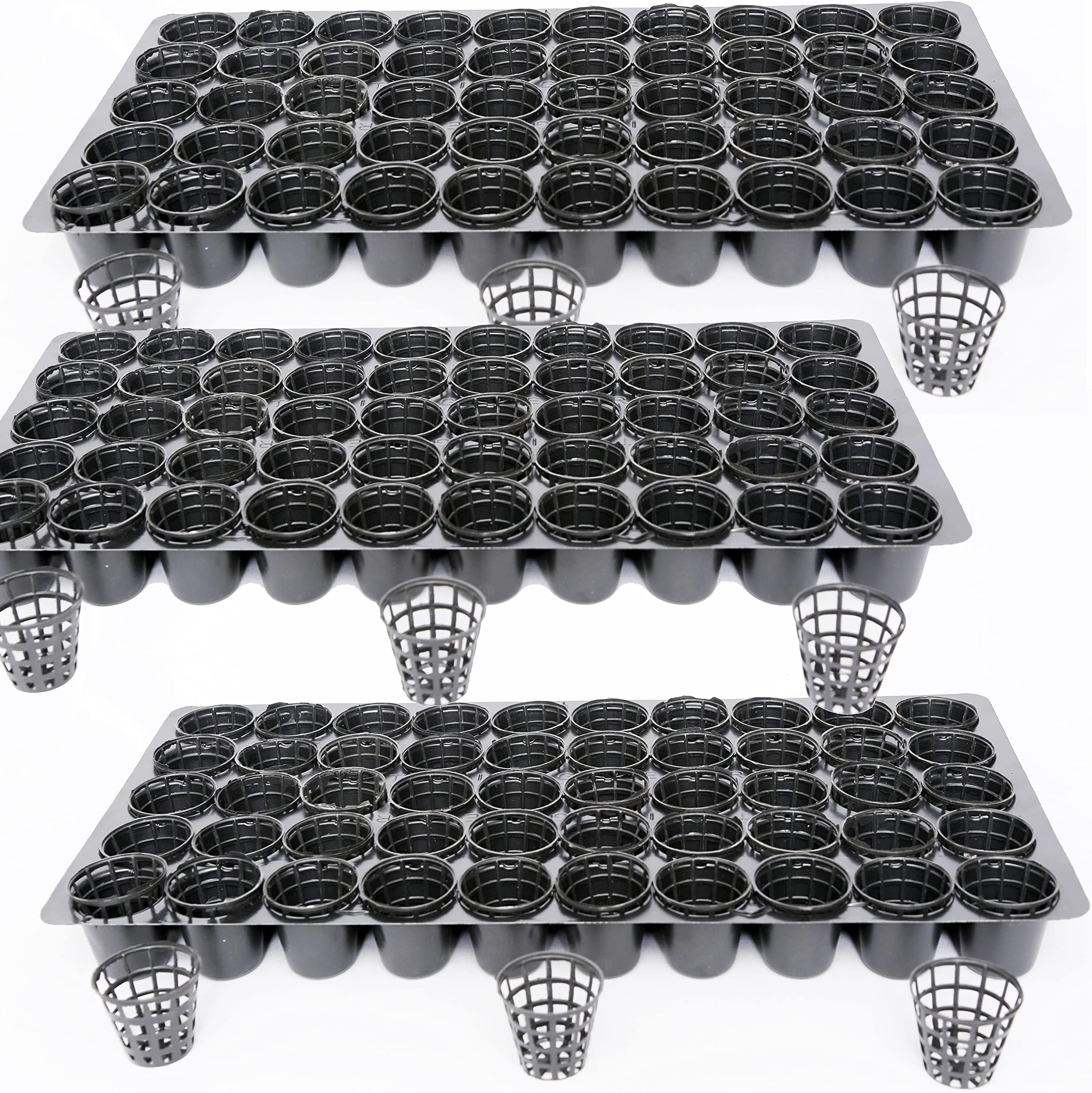 Kraft Seeds Seedling Tray (Pack of 10, Black) 48 Holes |Germination ...