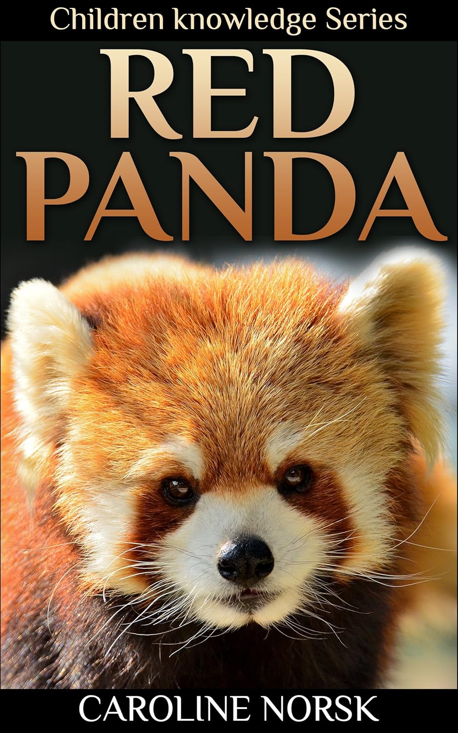 Amazon | Red Panda: Amazing Photos & Fun Facts Children Book About Red ...