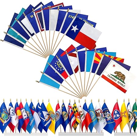 Amazon.com : LoveVC 50 State Flags Set on Wood Stick Small Mini Hand ...
