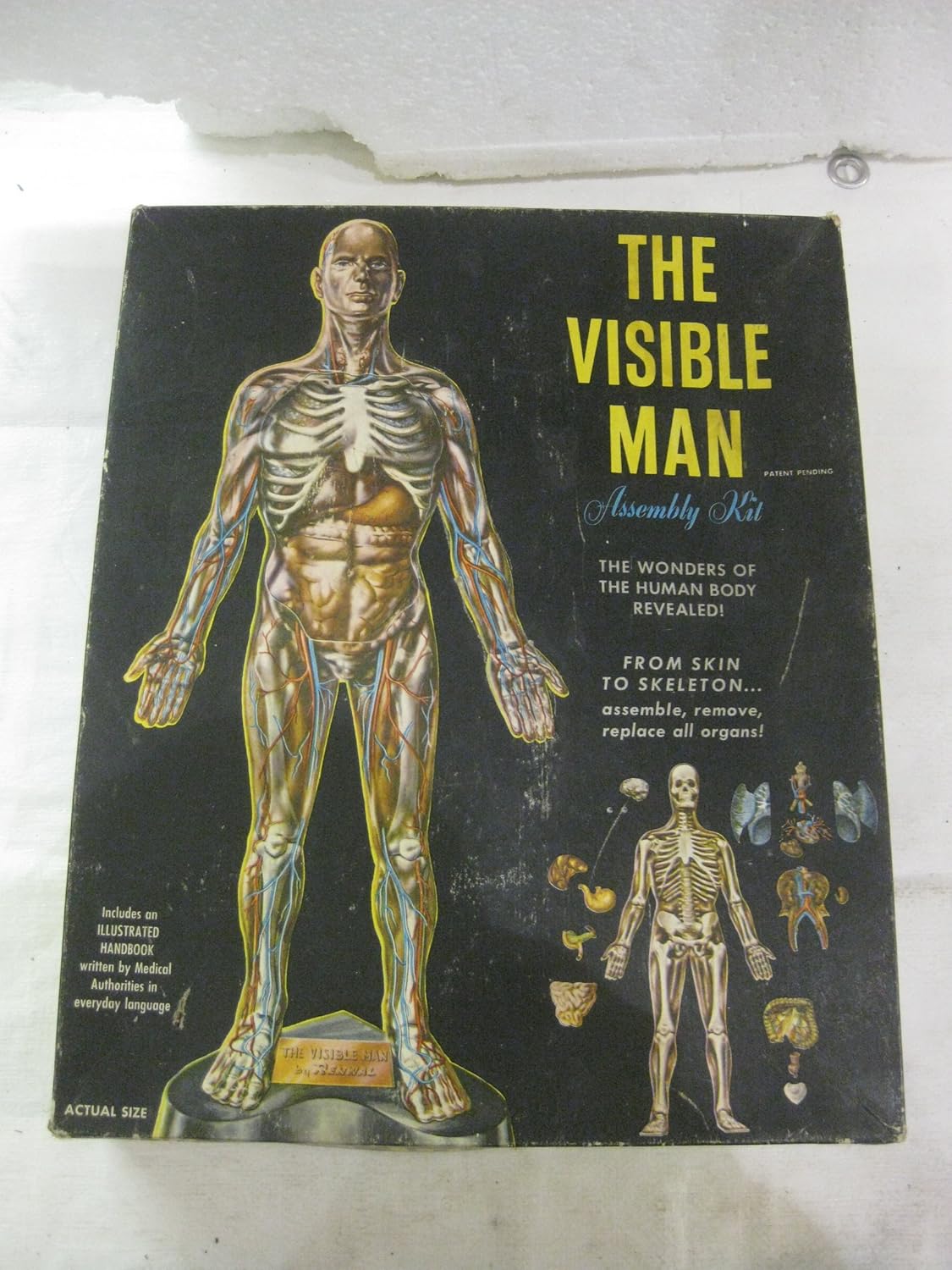 Amazon.com: Renwal The Visible Man Model Kit Black Box : Toys & Games