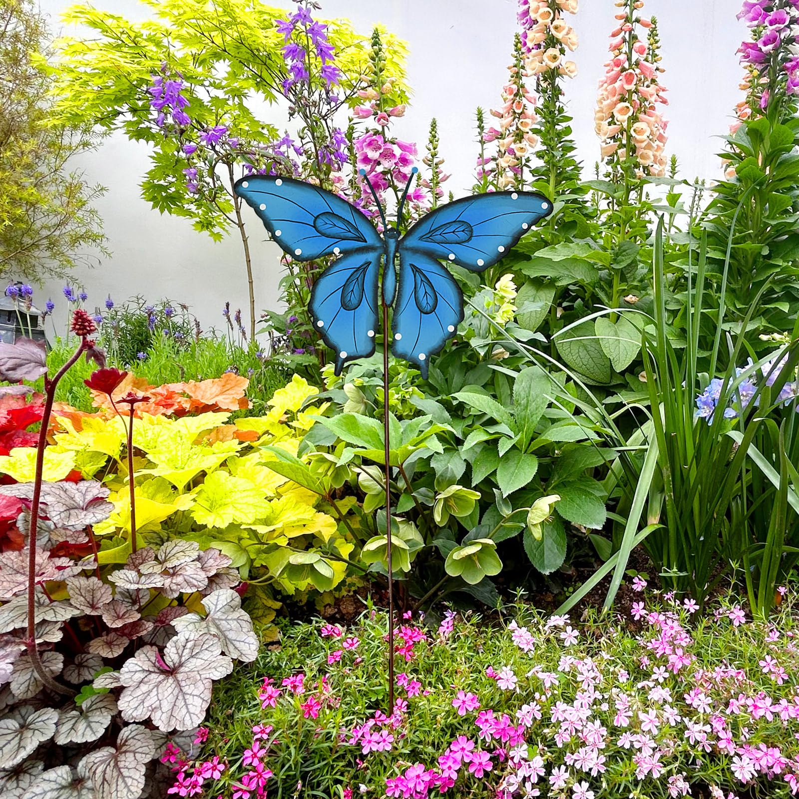 Blue Butterfly Garden Design